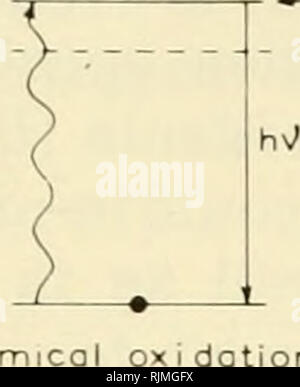 bacteriochlorophyll coloring pages