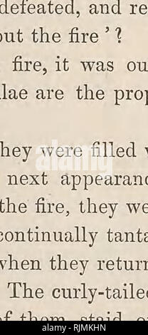 . Aves Hawaiienses : the birds of the Sandwich Islands. Birds. JJvr ...