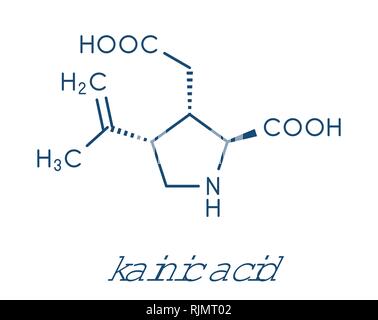 Kainic acid molecule. Direct agonist of the glutamic kainate receptors ...