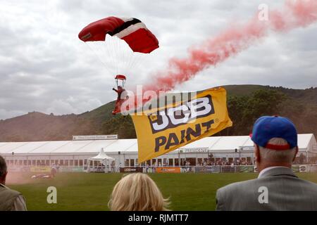 The Red Devils, the official parachute display team of the British Army ...