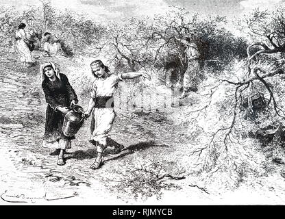 An engraving depicting the process of making turpentine: here dipping ...