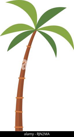 tropical palm leaf cartoon vector illustration graphic design Stock ...