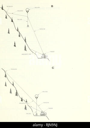 . Balloon logging in the Idaho Batholith : feasibility study. Logging ...