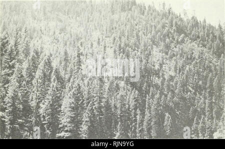 . Balloon logging in the Idaho Batholith : feasibility study. Logging ...