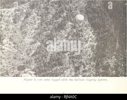 . Balloon logging in the Idaho Batholith : feasibility study. Logging ...