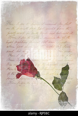 Weathered watercolor background. Aged paper crumpled texture Stock ...