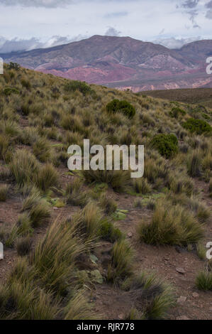 Serrania del Hornocal, Cerro de los 14 colores, Salta Province, Jujuy ...