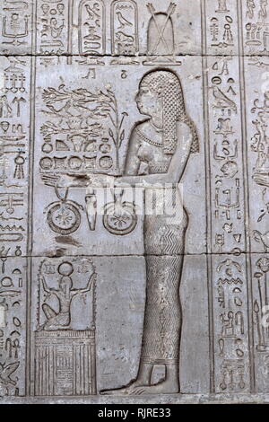 Egyptian goddess Neith (Nit, Net or Neit) was an Ancient Egyptian deity ...