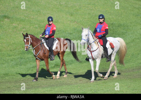 Endurance Racing in Millbrook Ontario Race Start Stock Photo - Alamy
