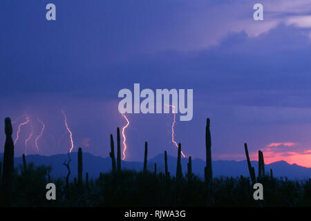 Lightning strikes during a monsoon storm over the Sonoran Desert ...