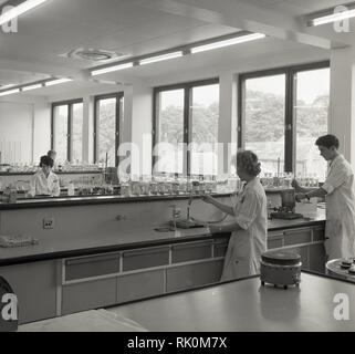 Interior of modern scientific laboratory Stock Photo - Alamy