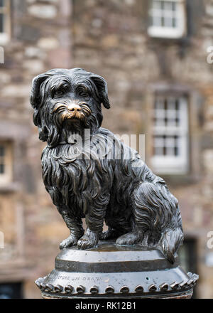 Statue of Greyfriars Bobby in Edinburgh Scotland the dog which stayed ...