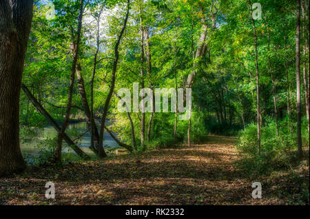 Natures beauty shines through a stream pathway Stock Photo - Alamy