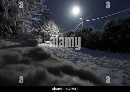 Park alley with falling snow at night Stock Photo - Alamy