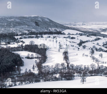 Trees in winter Bilsdale North Yorkshire Moors Stock Photo - Alamy
