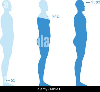 Infographic showing water percentage level in human body. Vector ...