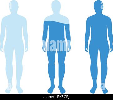 Infographic showing water percentage level in human body. Vector ...