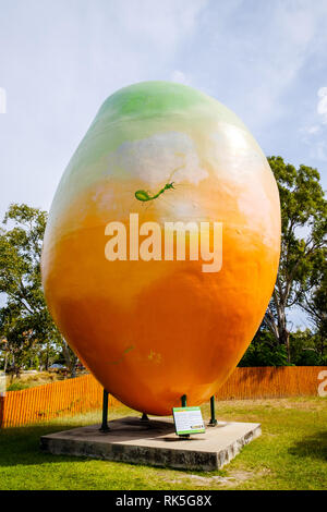 Giant mango fruit Stock Photo - Alamy
