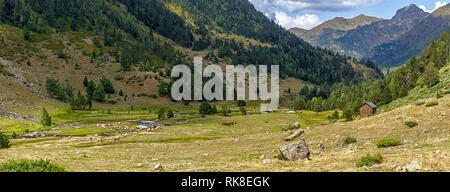 Pyrenees mountains summer panorama with horses Stock Photo - Alamy