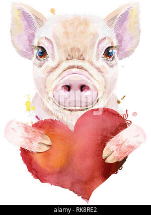 Pig heart, illustration Stock Photo - Alamy