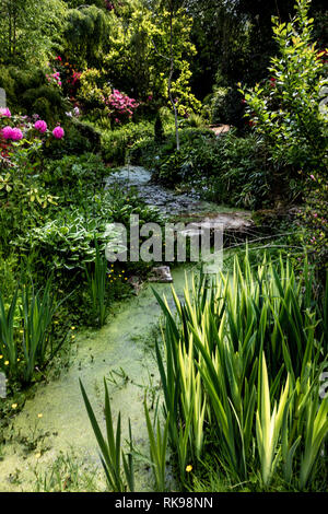 The Secret Quarry Garden, Russells Garden Centre, near Coventry ...