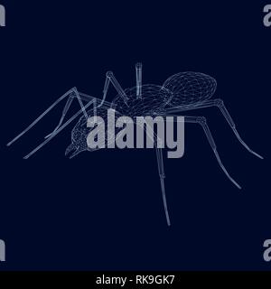 Vector illustration of Ant anatomy Stock Vector Image & Art - Alamy