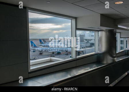 Frontier Airlines fleet at Denver International Airport, Colorado, USA ...