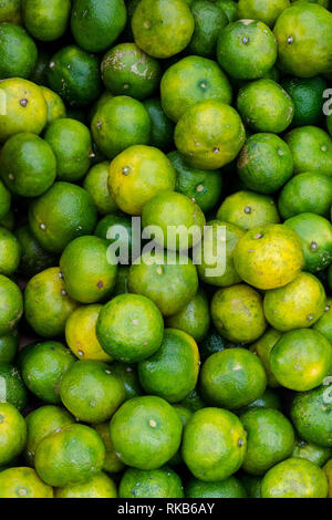 Shikuwasa - a small, sour citrus fruit from Okinawa, Japan and Taiwan ...