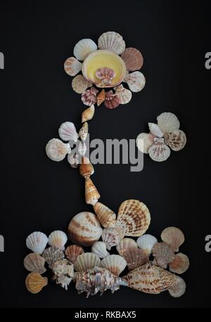 Sea shells made into a picture of a flower Stock Photo - Alamy