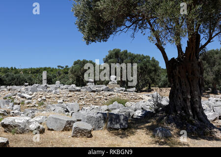 Hellenistic Temple of Dionysus, designed in 220-205 BCE by the ...