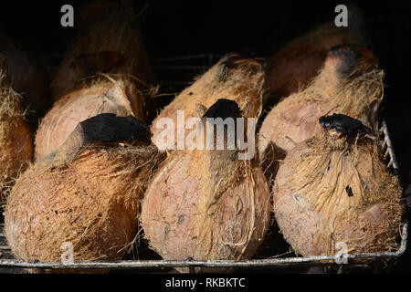 roasted coconut, Coconut burn Stock Photo - Alamy