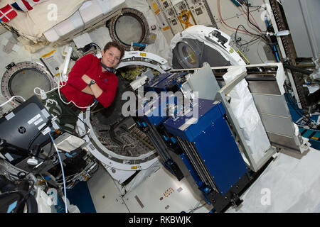 The Japanese Experiment Module Kibo laboratory and Exposed Facility ...