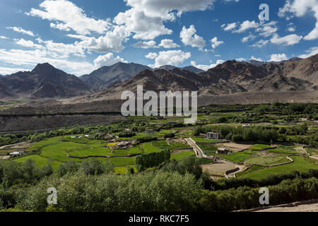 A small fertile valley in the long mountain bike ride through the Khardungla Pass, Tibet Stock ...