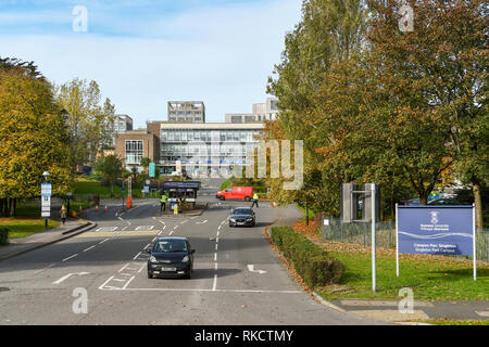 Swansea University Singleton Park Campus Stock Photo - Alamy