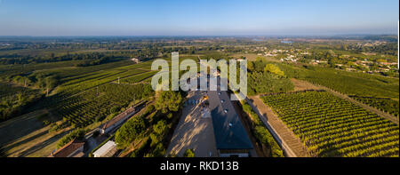 Sunset landscape bordeaux wineyard france, europe, Nature Stock Photo ...