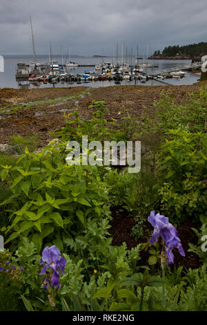 Lund, Sunshine Coast, British Columbia, Canada Stock Photo - Alamy