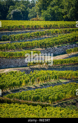 Vineyards of Saint Emilion, Bordeaux Vineyards, terraced vineyard ...