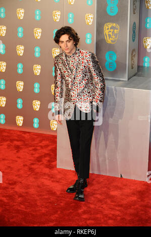 Timothée Chalamet attends the red carpet of the movie "Dune" during the ...