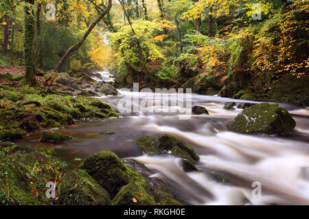 River Erme at Ivybridge, Devon, UK Stock Photo - Alamy