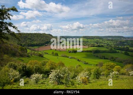 View from escarpment over Severn Vale, Haresfield Beacon, Cotswolds ...