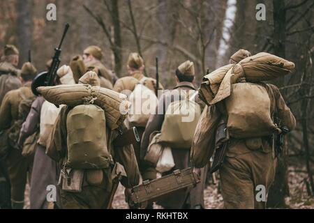 Soldier in camouflage walking through a corn field at Drumcree Stock ...