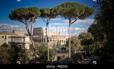 Colosseum through trees rome Italy Stock Photo - Alamy