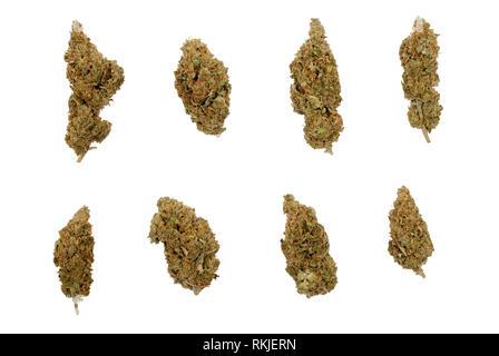 eight different shaped Cannabis sativa flower buds, isolated on white ...