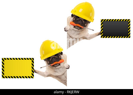 pug dog with yellow constructor safety helmet and warning sign with text closed for maintenance ...