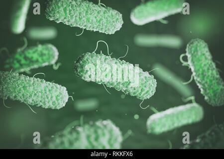 Yersinia pestis, Gram-negative bacillus, 1000x Magnification. Y. pestis ...
