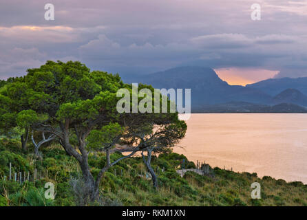 Landscape with sunset at S`illot, Bay of Pollenca near Alcudia ...