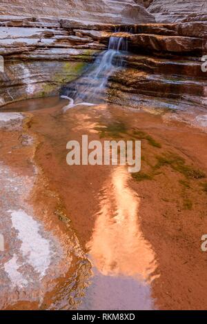 Stream-polished Cambrian Muav Limestone ledges in Matkatamiba Canyon ...