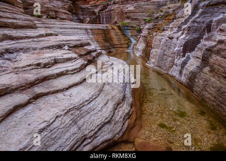 Stream-polished Cambrian Muav Limestone ledges in Matkatamiba Canyon ...
