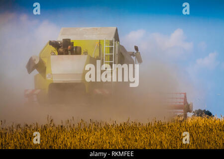 Harvester machine to harvest wheat field working Stock Photo - Alamy