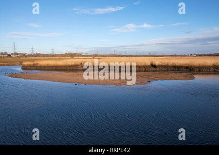 Reedbeds on the Lower Test reserve Hampshire and Isle of Wight Wildlife ...